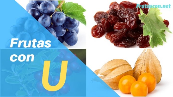 Frutas que Empiezan con U » Frutas con la letra u【LISTA 2025】