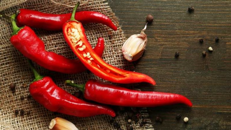 ¿El Chile es Fruta o Verdura? » DESCUBRELO AQUÍ【2020】